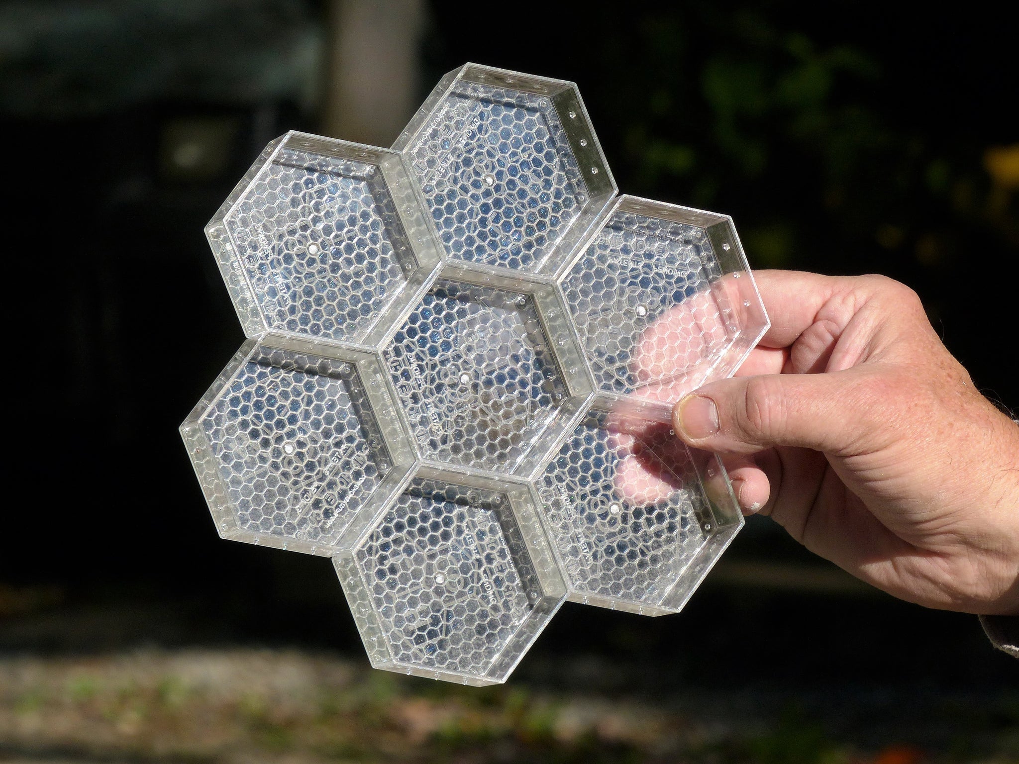 Harvest Comb Honey with NEW Comb Honey Cups System – Honeycomb Hives