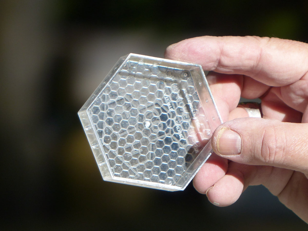 Harvest Comb Honey with NEW Comb Honey Cups System – Honeycomb Hives