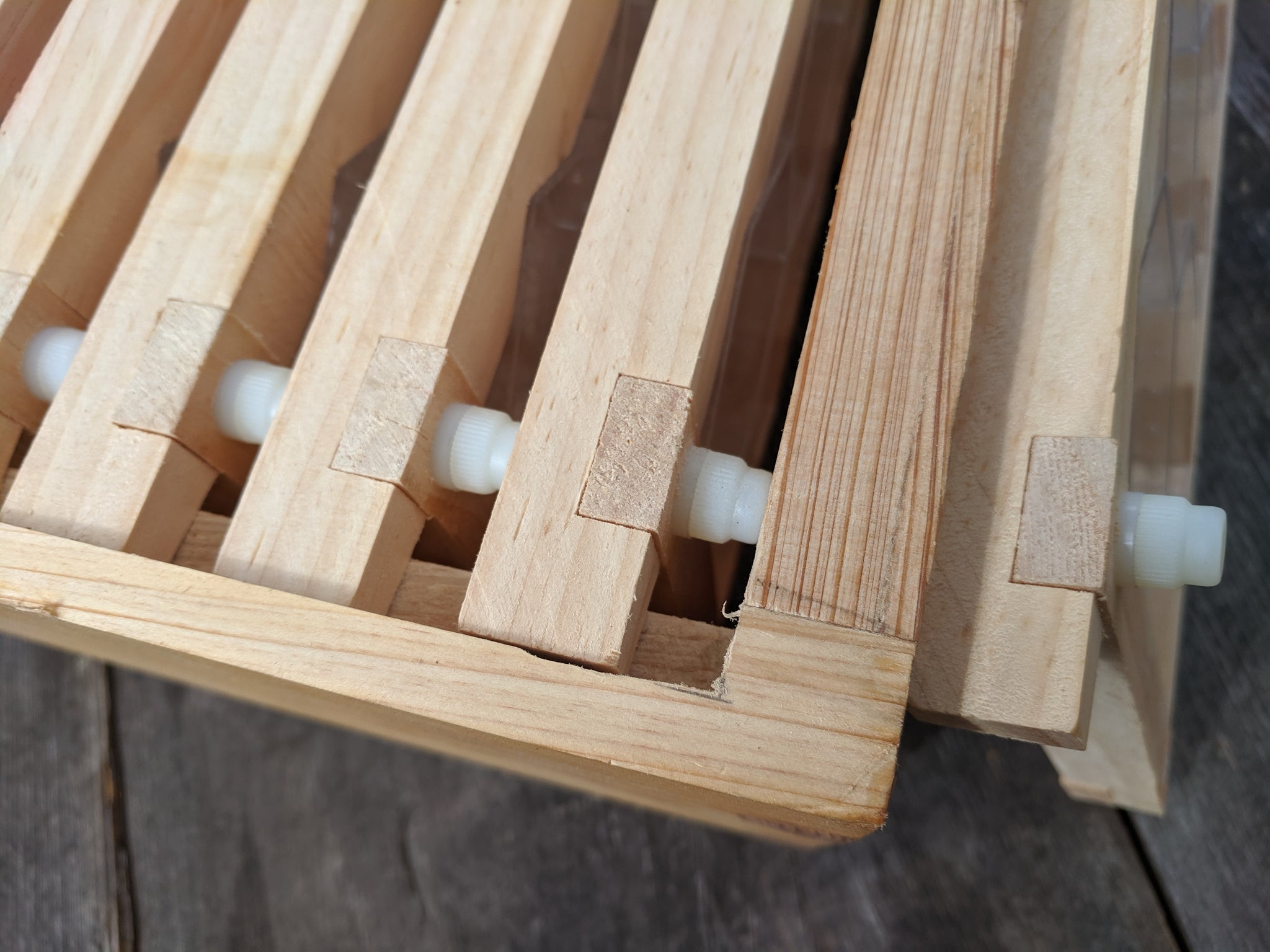 Harvest Comb Honey with NEW Comb Honey Cups System – Honeycomb Hives